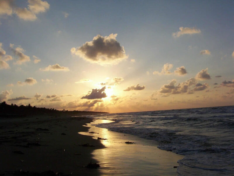 Playa El Bosque, Tabasco, lo que debes de saber